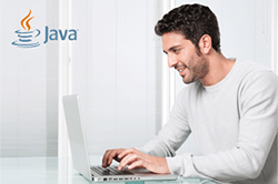 Développeur JAVA J2EE Nice, Monaco, Sophia-Antipolis, alpes maritimes, paca, 06